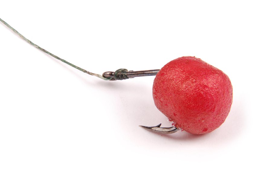 Bait | Traductor de inglés a español - inglés.com