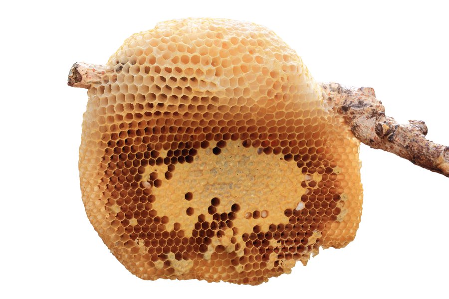 Colmena en inglés | Traductor de español a inglés - inglés.com