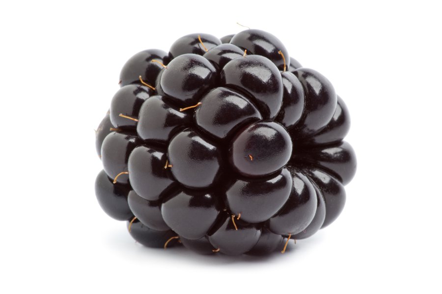 Blackberry In Spanish English To Spanish Translation