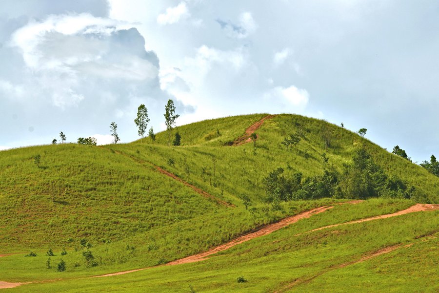 Los cerros | Spanish to English Translation - SpanishDictionary.com