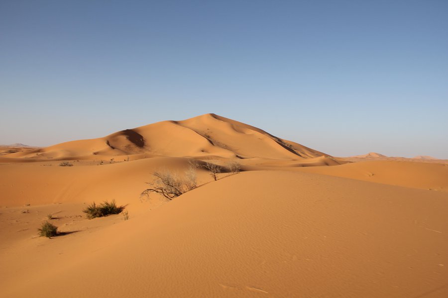 Desierto | Spanish to English Translation - SpanishDictionary.com