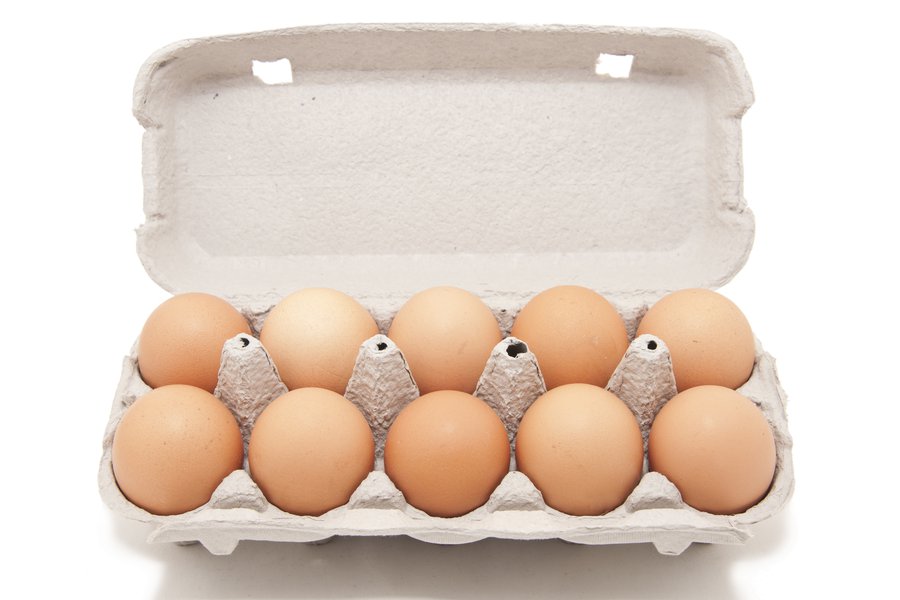 Docena | Spanish to English Translation - SpanishDict