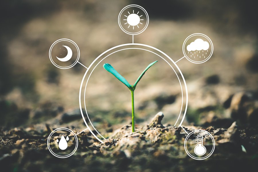 Conditions | Traductor de inglés a español - inglés.com