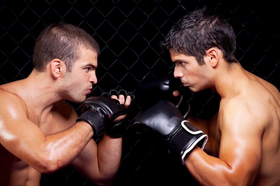 Pelear | Spanish to English Translation - SpanishDictionary.com