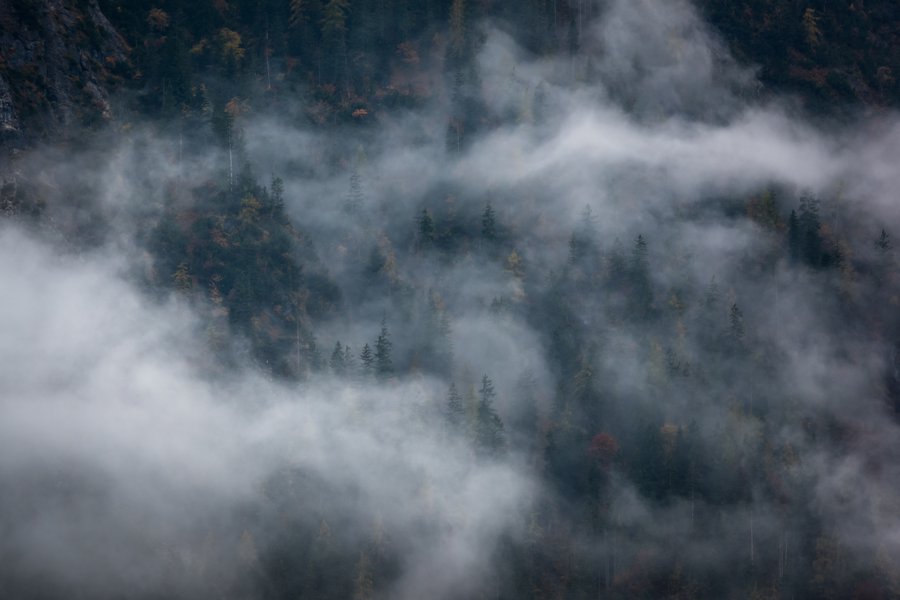 Foggy | Traductor de inglés a español - inglés.com