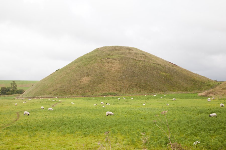 Monte | Spanish to English Translation - SpanishDictionary.com