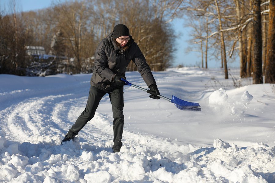 Palear | Spanish to English Translation - SpanishDictionary.com