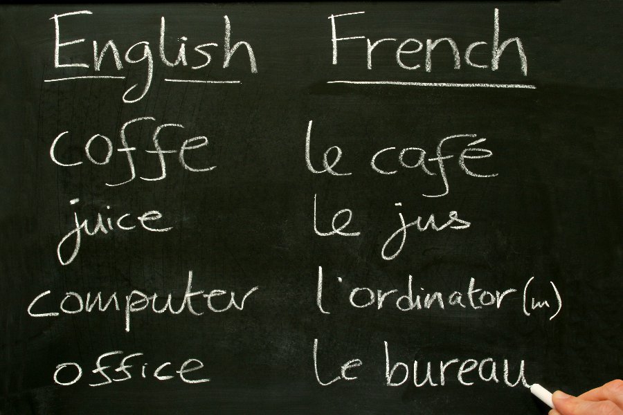 Traducción | Spanish to English Translation - SpanishDictionary.com