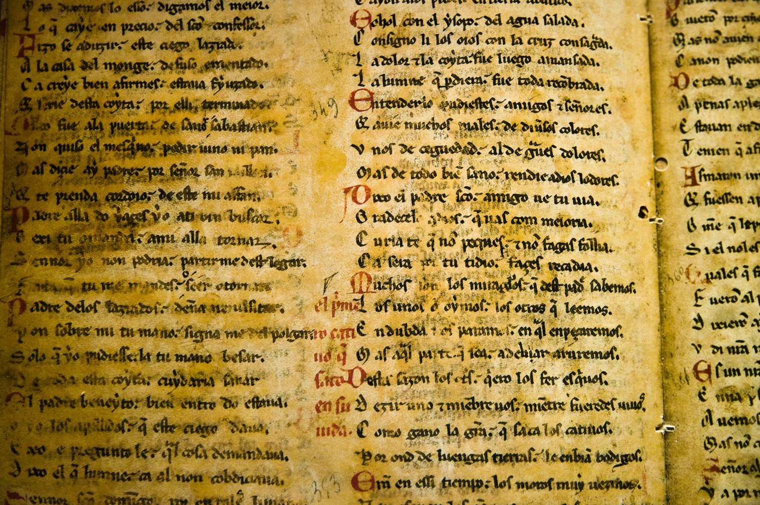 Latin Influence on Spanish | SpanishDictionary.com