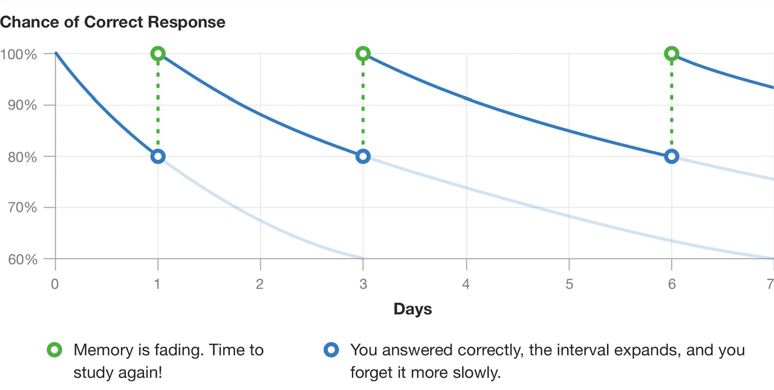 What is Spaced Repetition? | SpanishDictionary.com