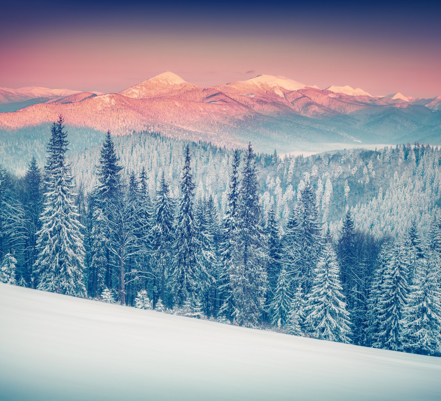 winter-words-in-spanish-spanishdictionary